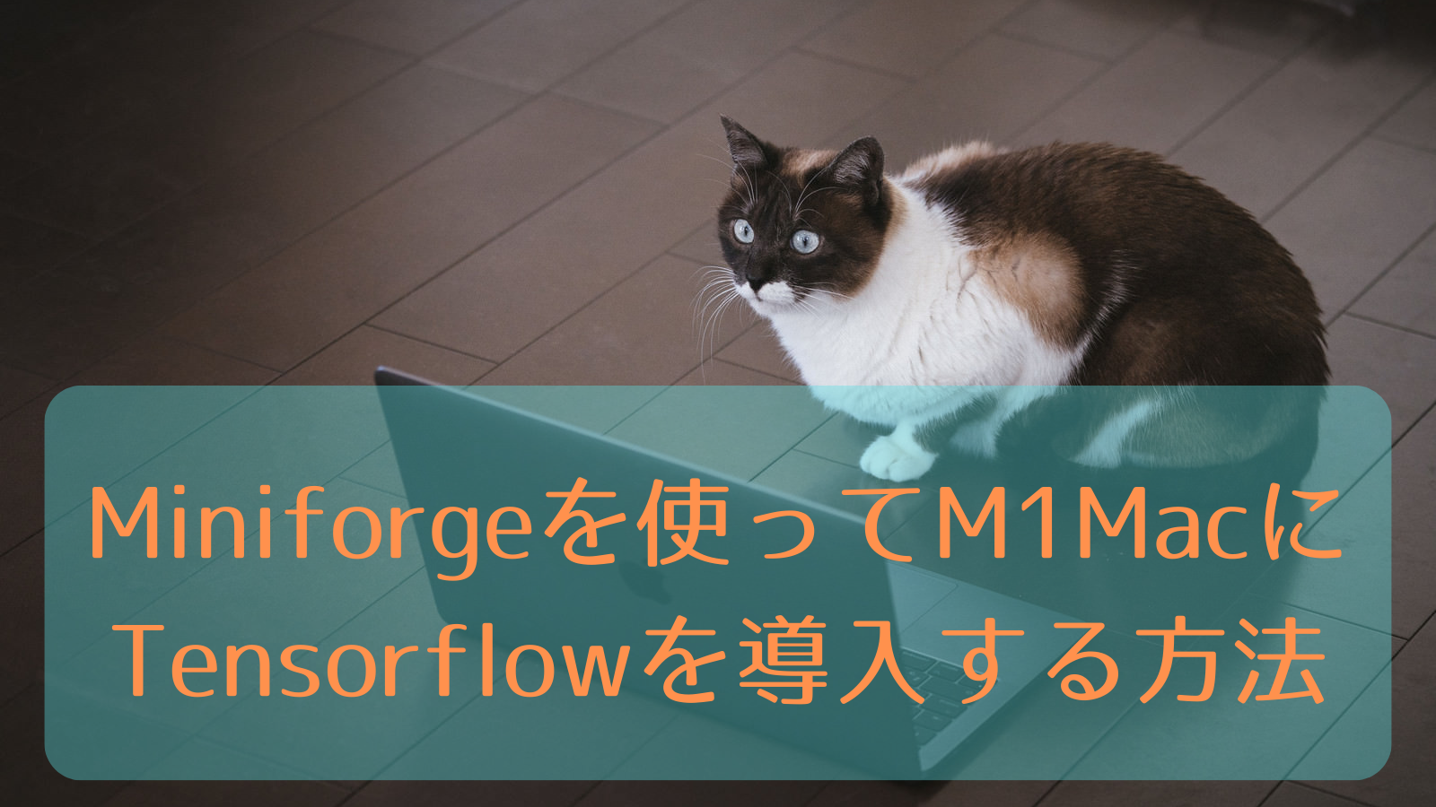 【2023/11最新】M1MacでTensorflow環境を構築する方法